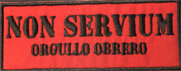 Non Servium