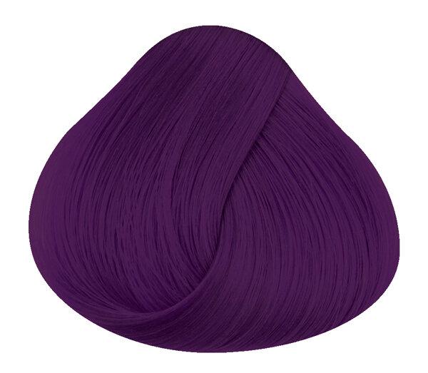 Carta De Color De Tinte De Cabello Morado